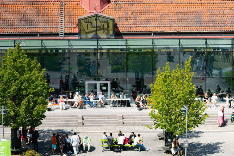 Utbildningar: Program och kurser Högskolan Kristianstad | HKR.se